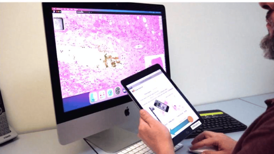 Anatomic Pathology & Tissue Analysis - Cerba Research